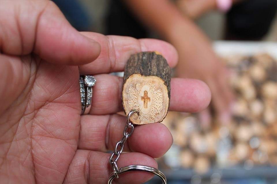 Sinukuan Tree – Lunti Plant Nursery