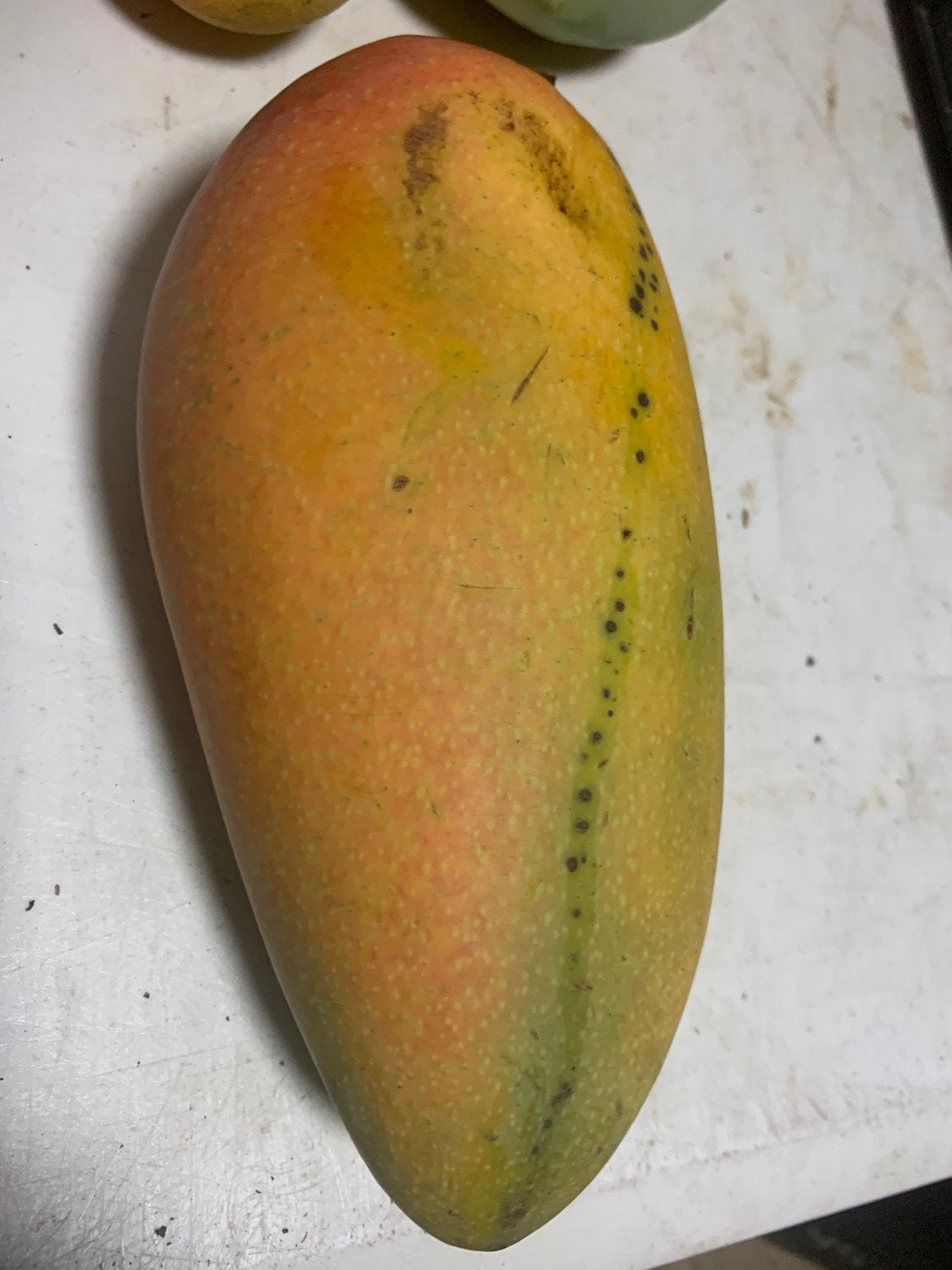 Golden Queen Mango – Lunti Plant Nursery