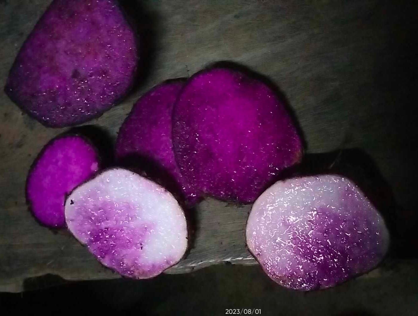 Purple Yam / Ube (1 kilo) – Lunti Plant Nursery