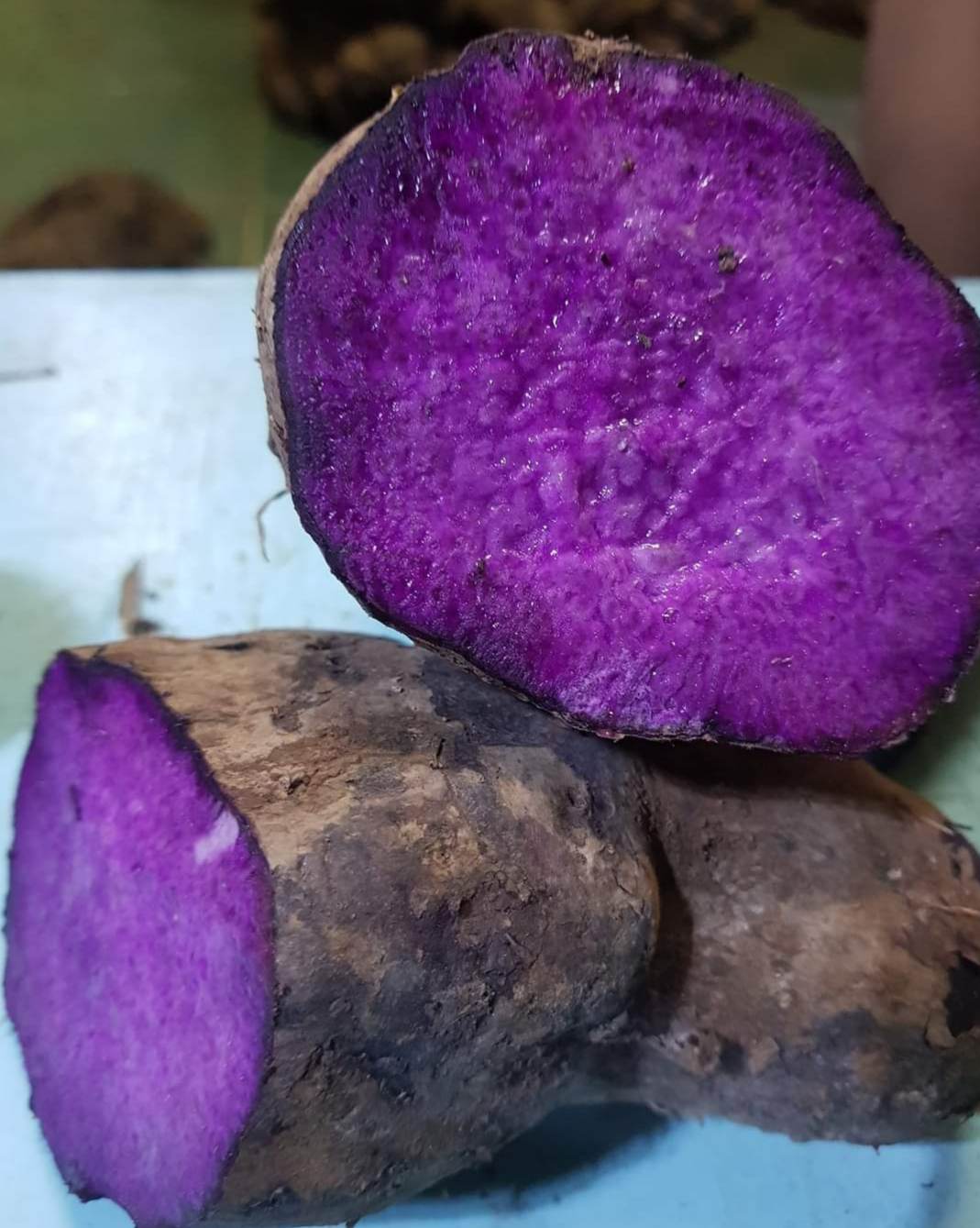 Purple Yam / Ube – Lunti Plant Nursery
