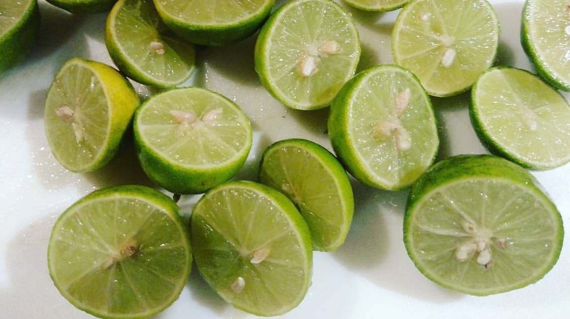 Dayap Lime Seedling – Lunti Plant Nursery